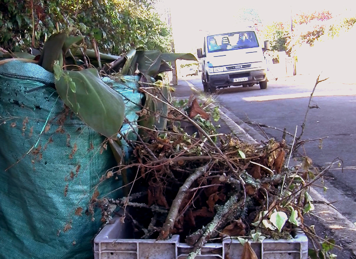 Ramassage des déchets verts à domicile - Saint-Paul-lès-Dax