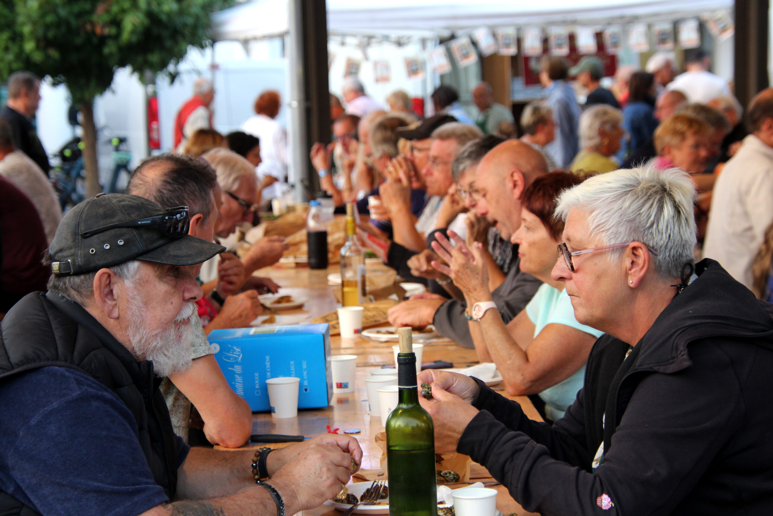 Vive le patrimoine - Saint-Paul-lès-Dax